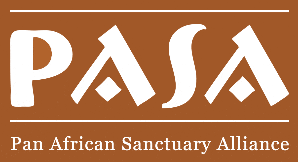 World Chimpanzee Day